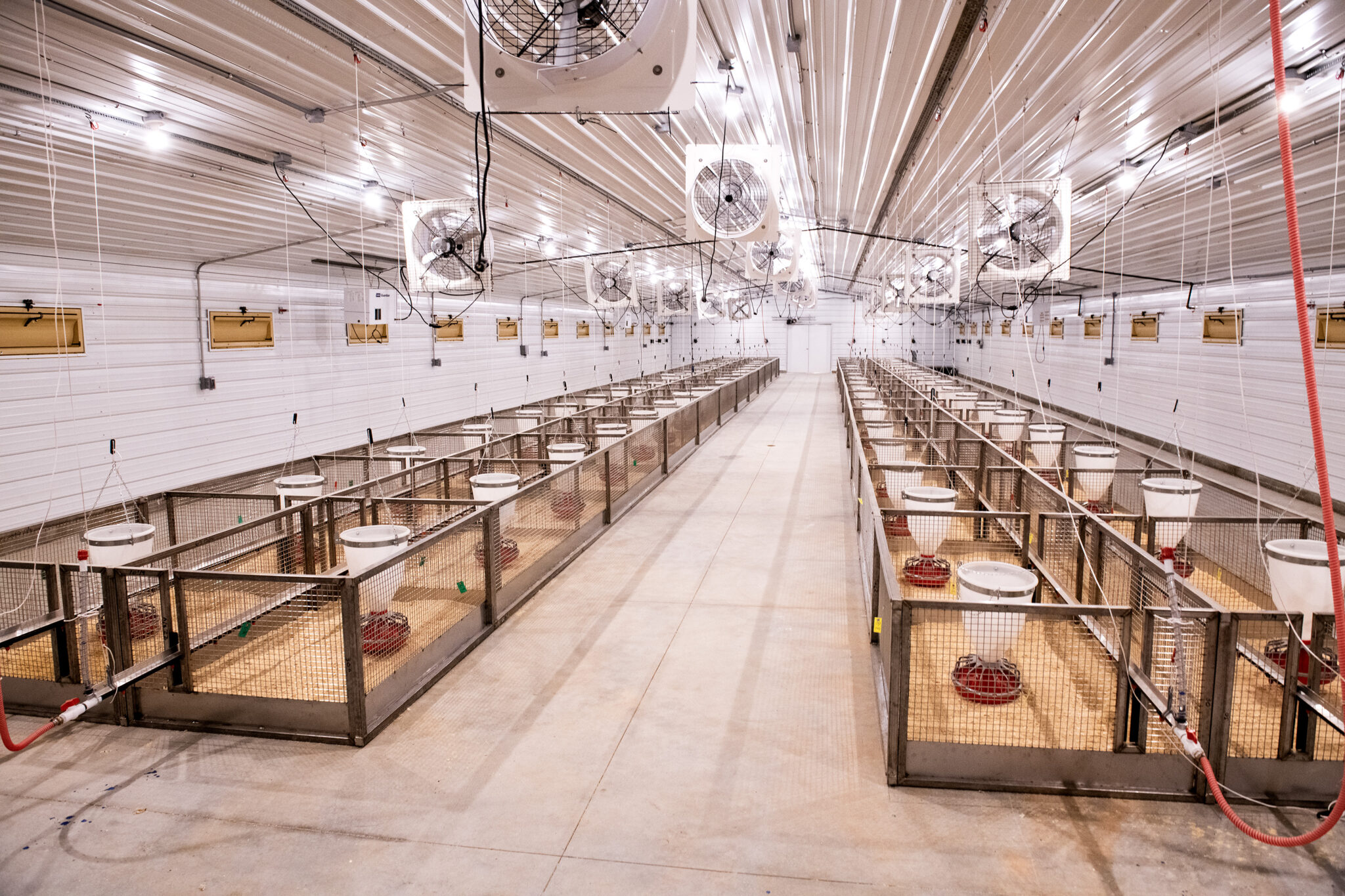 New Smart Farming Research Facility to Enable Cutting-Edge Poultry ...